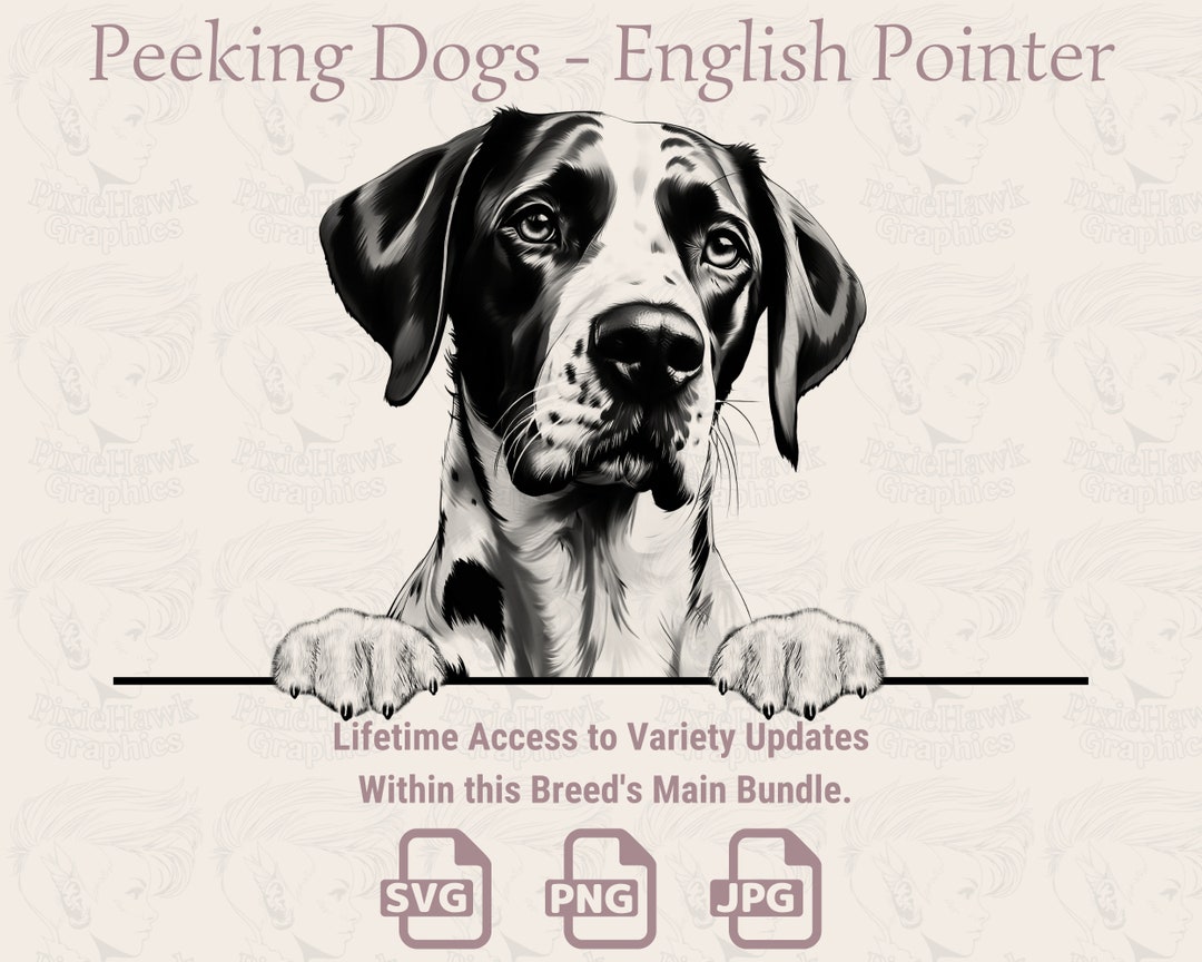 Peeking Dogs English Pointer SVG PNG JPG Transparent - Etsy
