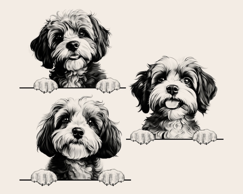Shih Poo Line Art: Peeking Dog SVG, PNG, JPG - Etsy