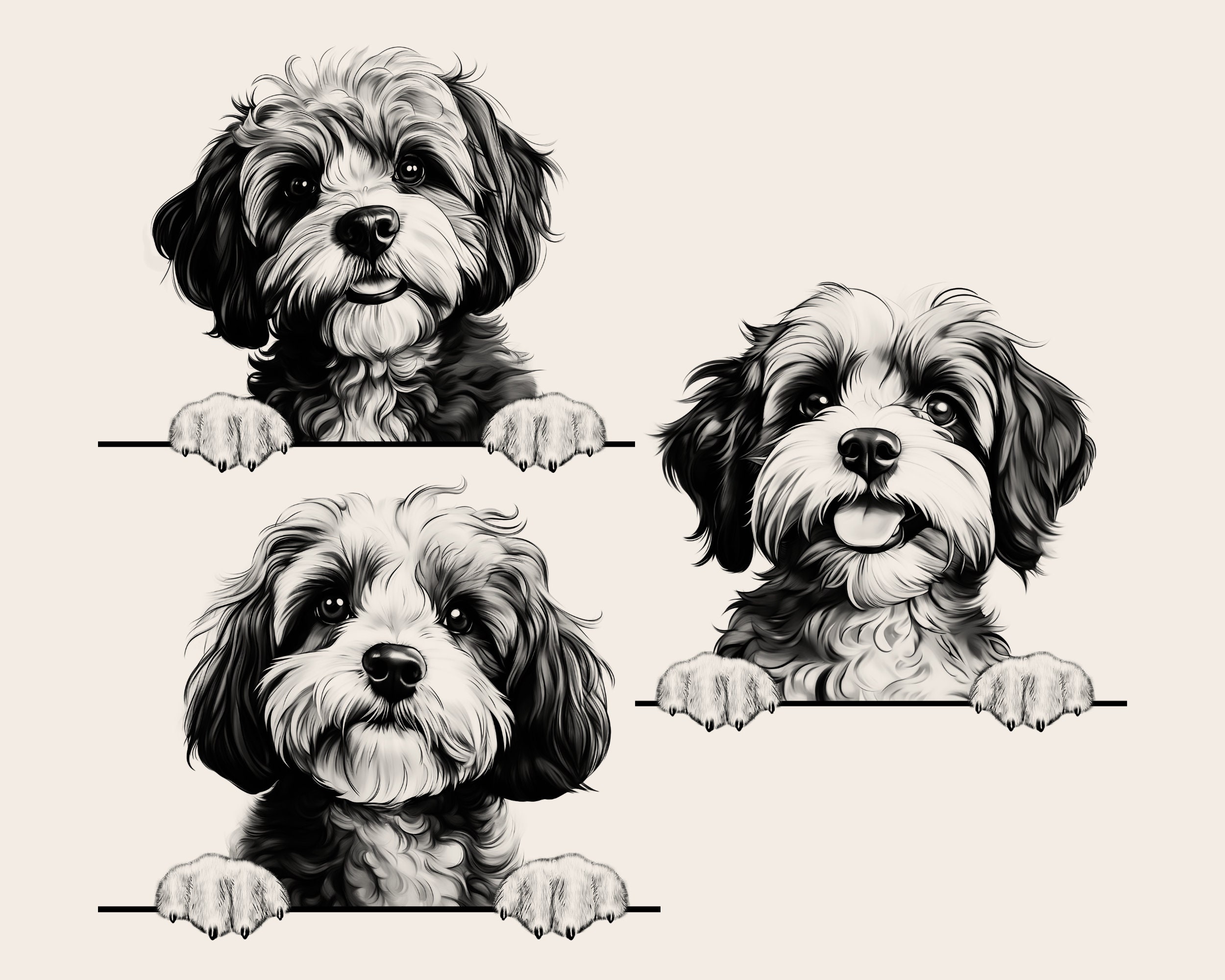 Peeking Dogs Shih Poo SVG PNG JPG Transparent - Etsy