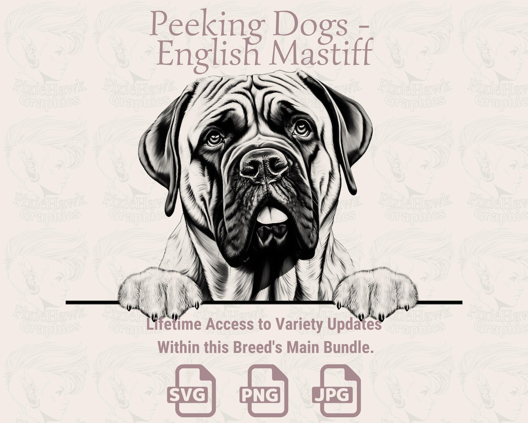 Peeking Dogs English Mastiff - | SVG | PNG | JPG | Transparent + White ...