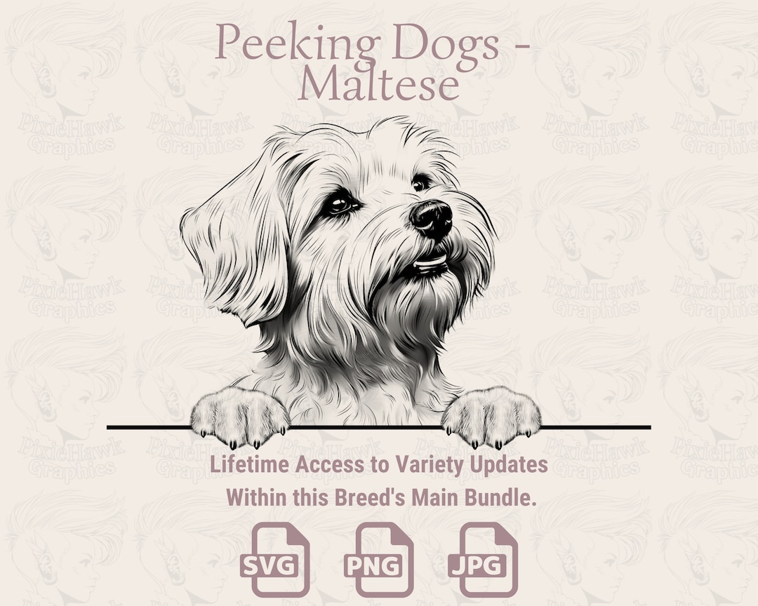 Maltese Dog Line Art: Peeking Puppy SVG, PNG, JPG - Etsy