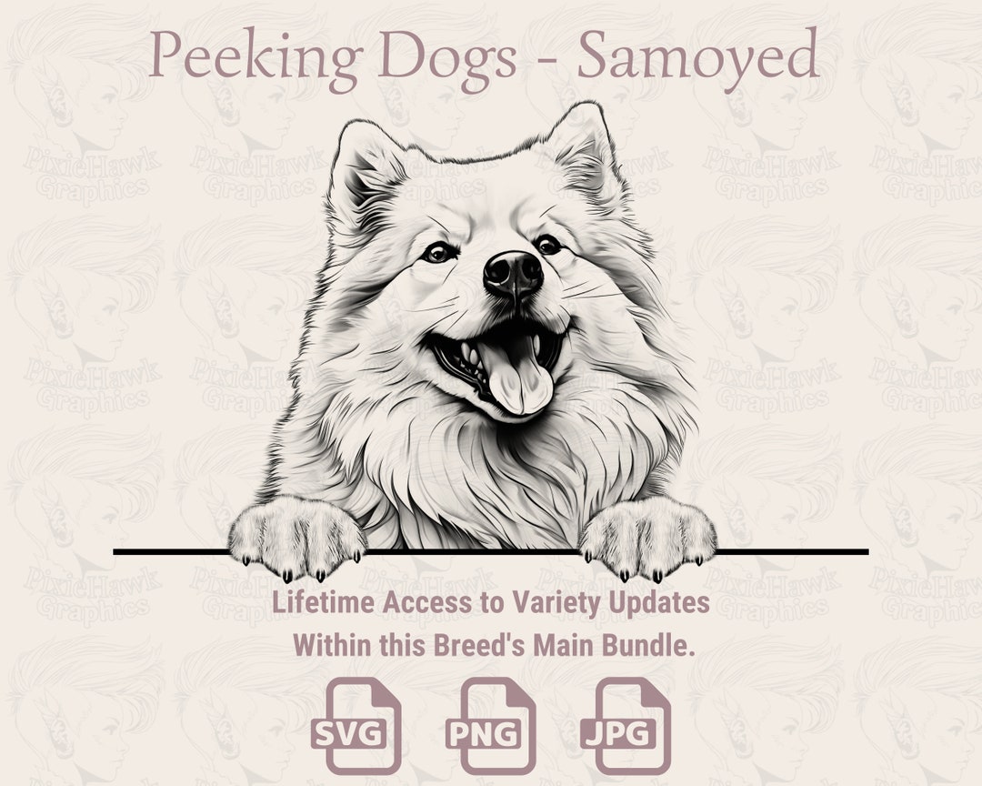 Peeking Dogs Samoyed - | SVG | PNG | JPG | Transparent + White ...