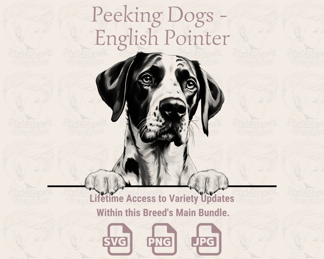 Peeking Dogs English Pointer - | SVG | PNG | JPG | Transparent + White ...