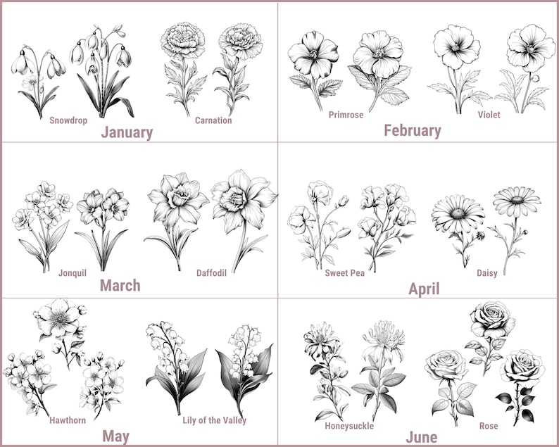 Birth Month Flowers: Line Art Illustrations (SVG, PNG, JPG) - Etsy