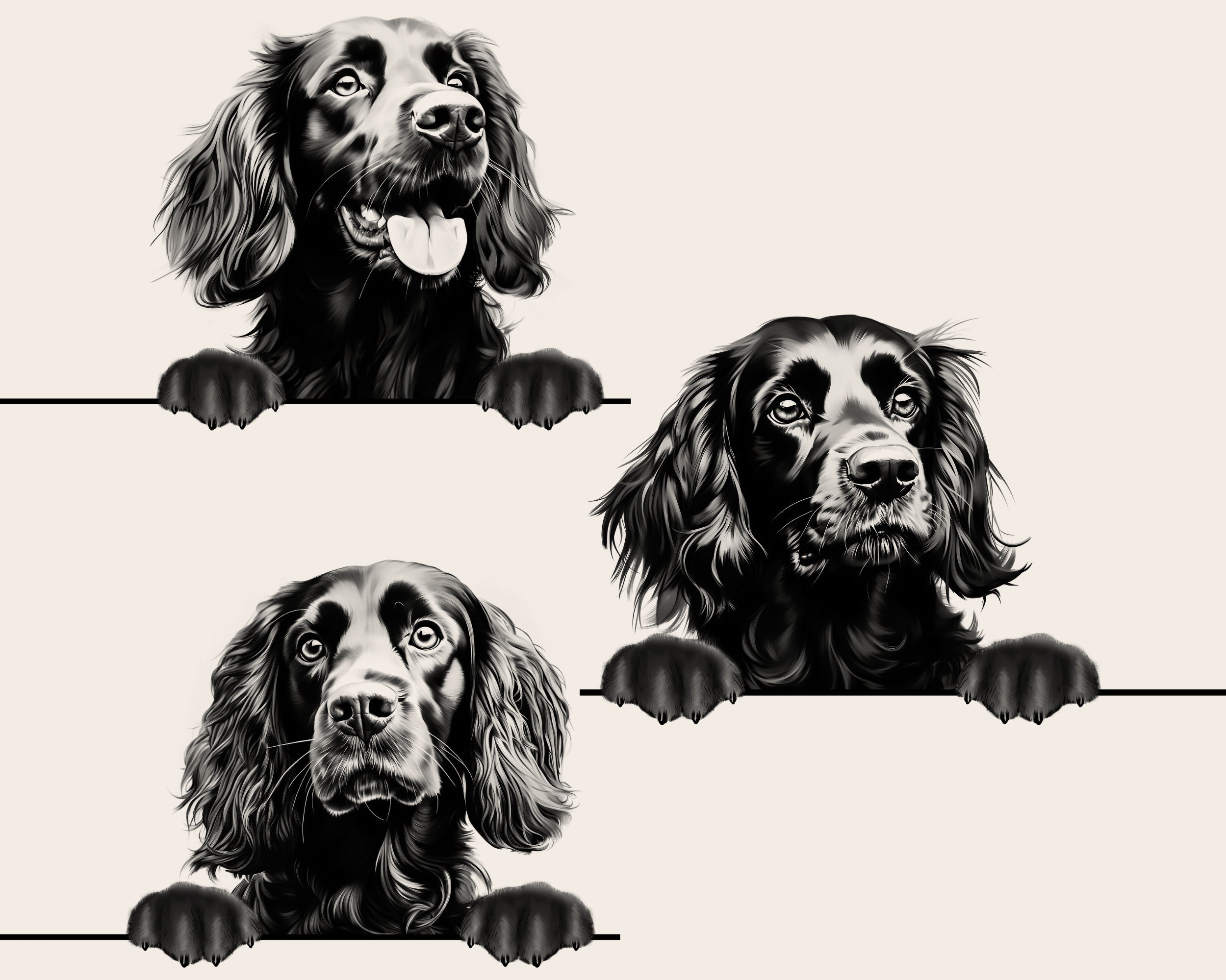 Peeking Dogs Boykin Spaniel SVG PNG JPG Transparent - Etsy