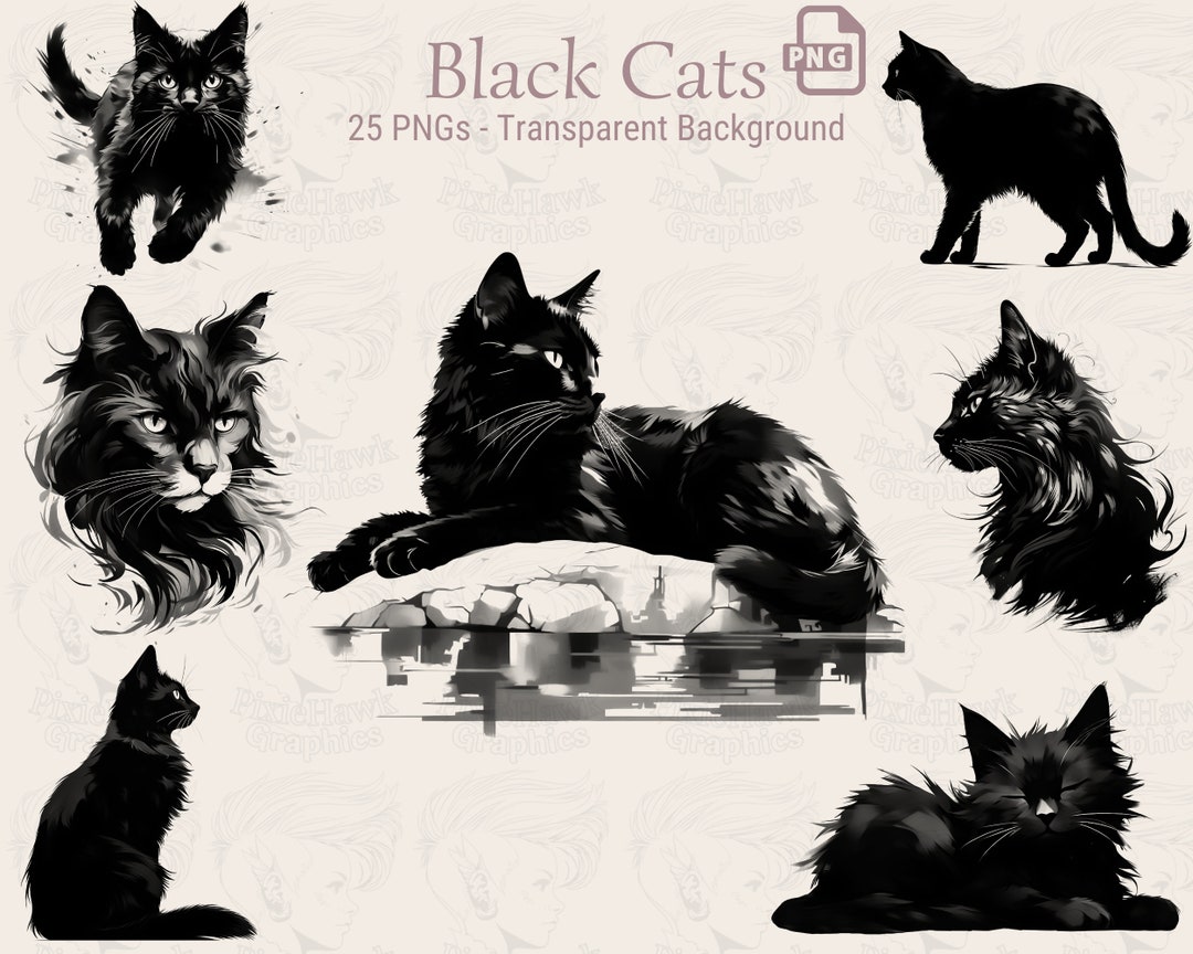 Black Cats Bundle - 25 PNG Images, 300 DPI, Transparent Background ...
