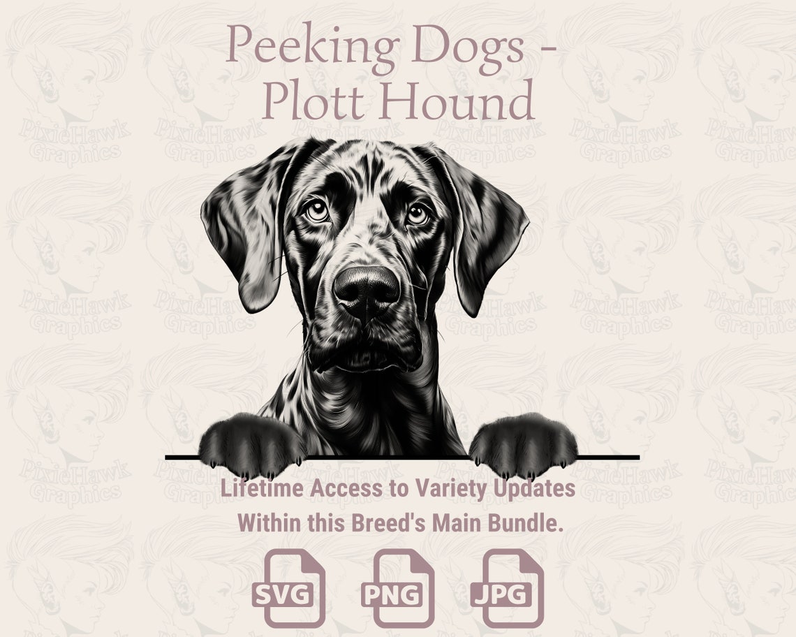 Plott Hound Line Art: Peeking Dog SVG, PNG, JPG - Etsy