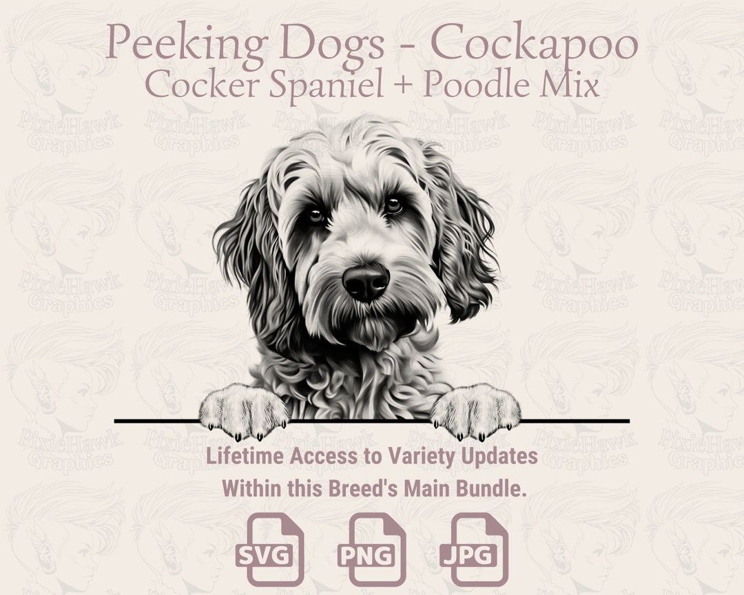 Peeking Dogs Cockapoo - | SVG | PNG | JPG | Transparent + White ...