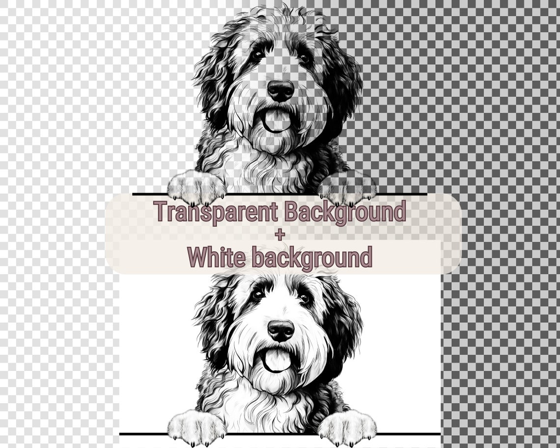 Sheepadoodle Peeking Dog Line Art (SVG, PNG, JPG) - Etsy