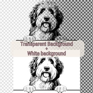 Sheepadoodle Peeking Dog Line Art (SVG, PNG, JPG) - Etsy