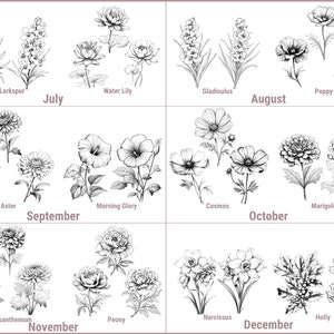 Birth Month Flowers: Line Art Illustrations (SVG, PNG, JPG) - Etsy