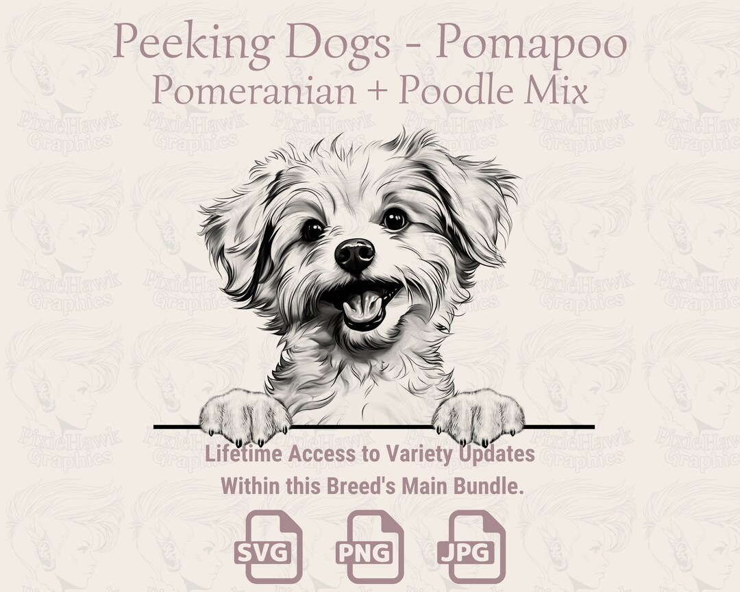 Peeking Dogs Pomapoo - | SVG | PNG | JPG | Transparent + White ...