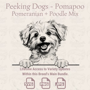 Peeking Dogs Pomapoo - | SVG | PNG | JPG | Transparent + White ...