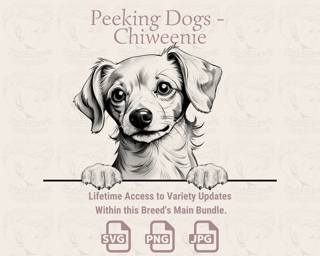Peeking Dogs Chiweenie - | SVG | PNG | JPG | Transparent + White ...