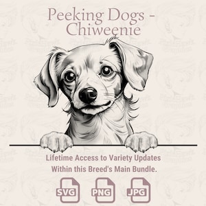 Peeking Dogs Chiweenie - | SVG | PNG | JPG | Transparent + White ...