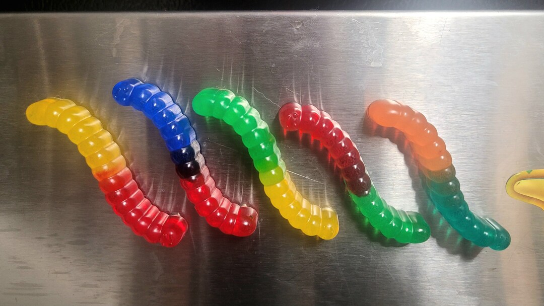 Gummy Worm Refrigerator Magnets - Etsy