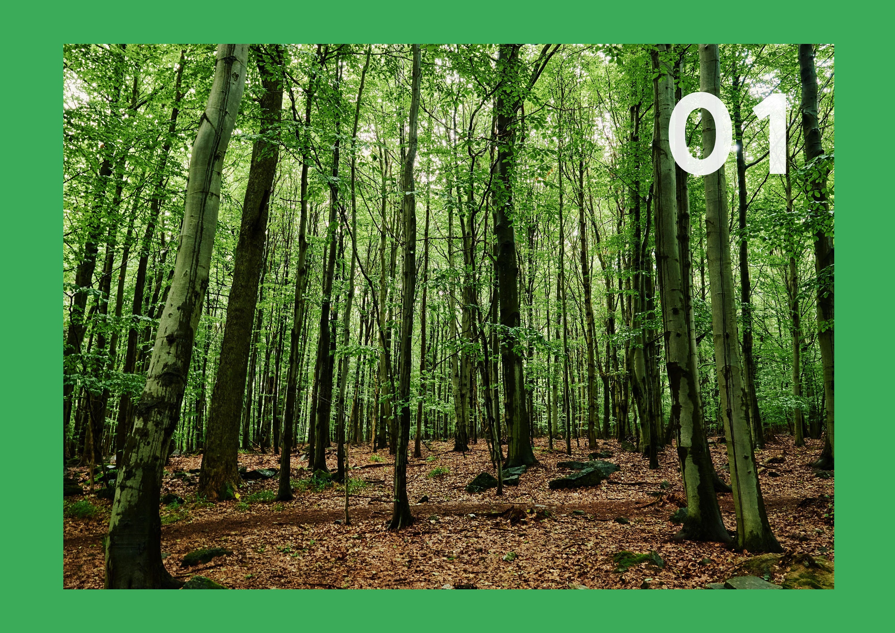 Green Forest Monthly Calendar | 2023 | Printable | Minimalist | Floral ...