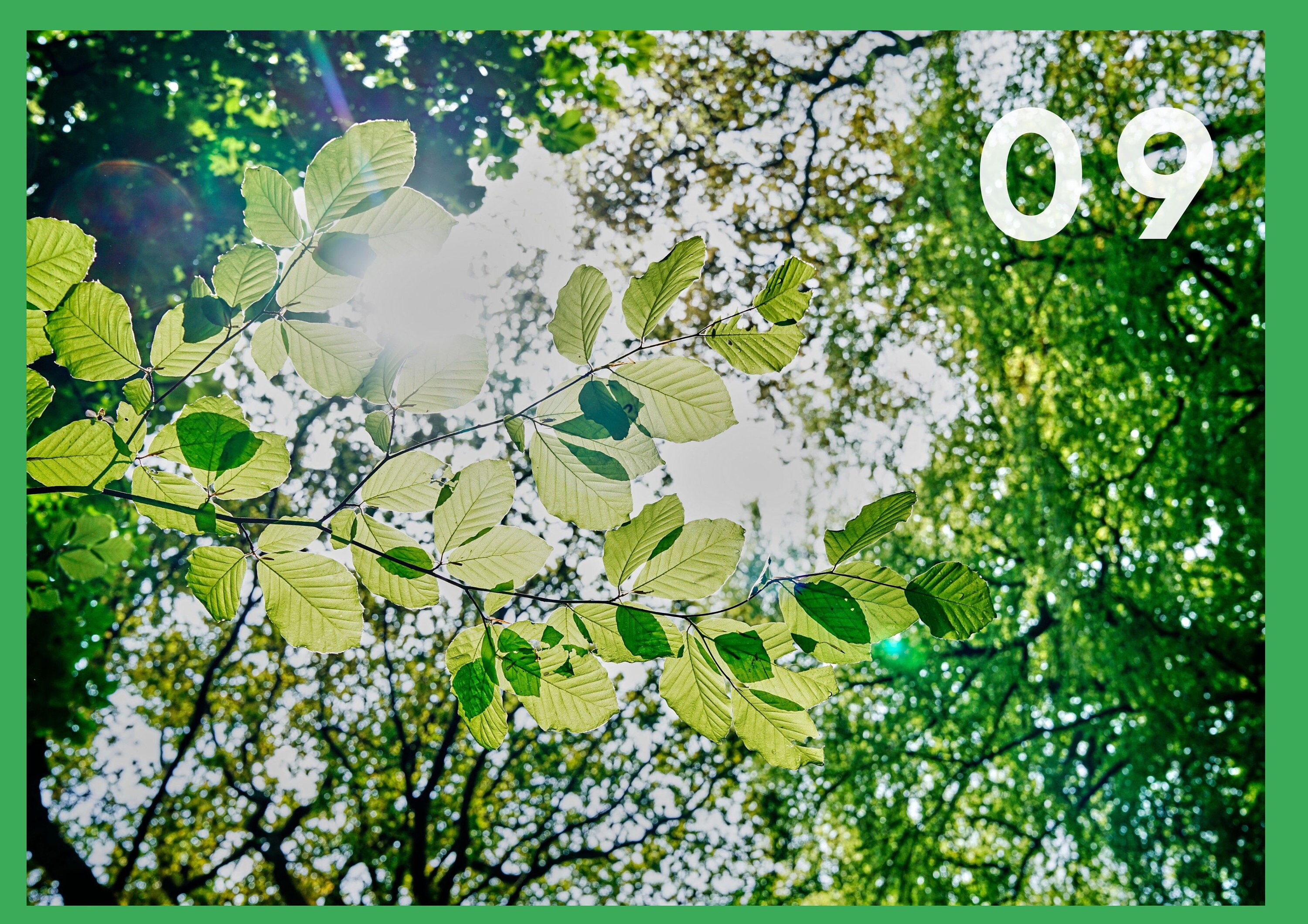 Green Forest Monthly Calendar | 2023 | Printable | Minimalist | Floral ...