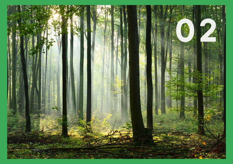 Green Forest Monthly Calendar | 2023 | Printable | Minimalist | Floral ...