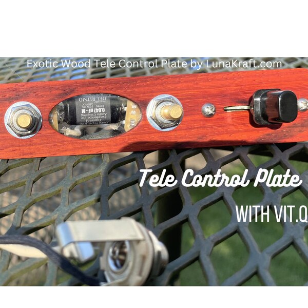 Telecaster Control Plate - Etsy
