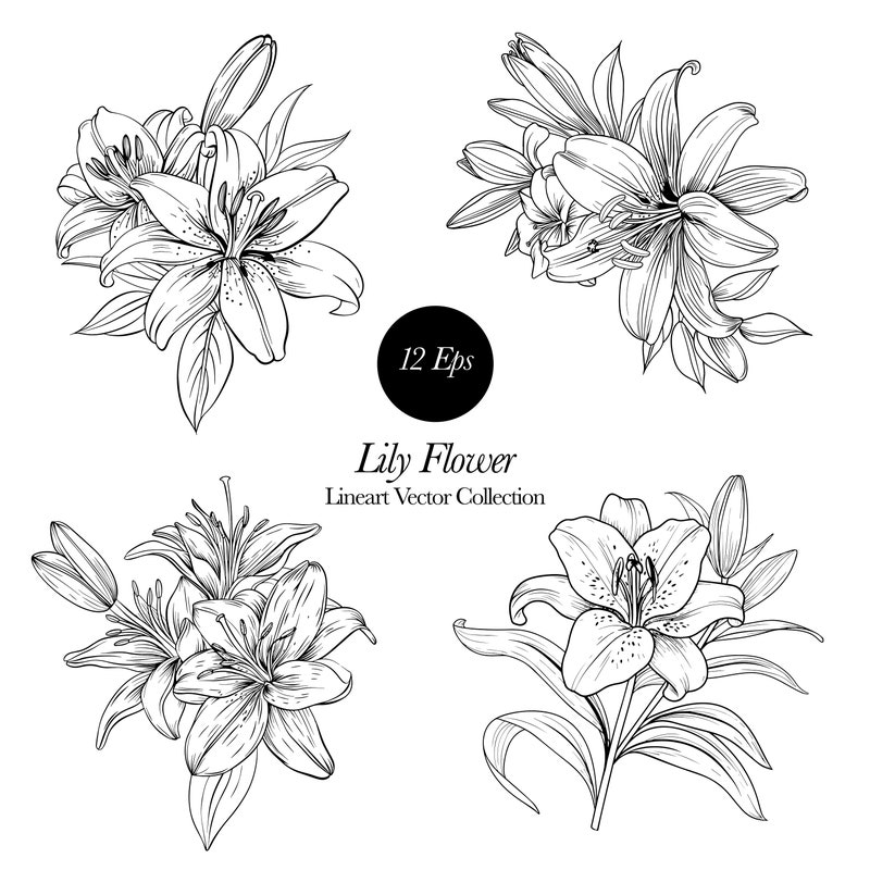 Lilies Black and White Clipart - Etsy