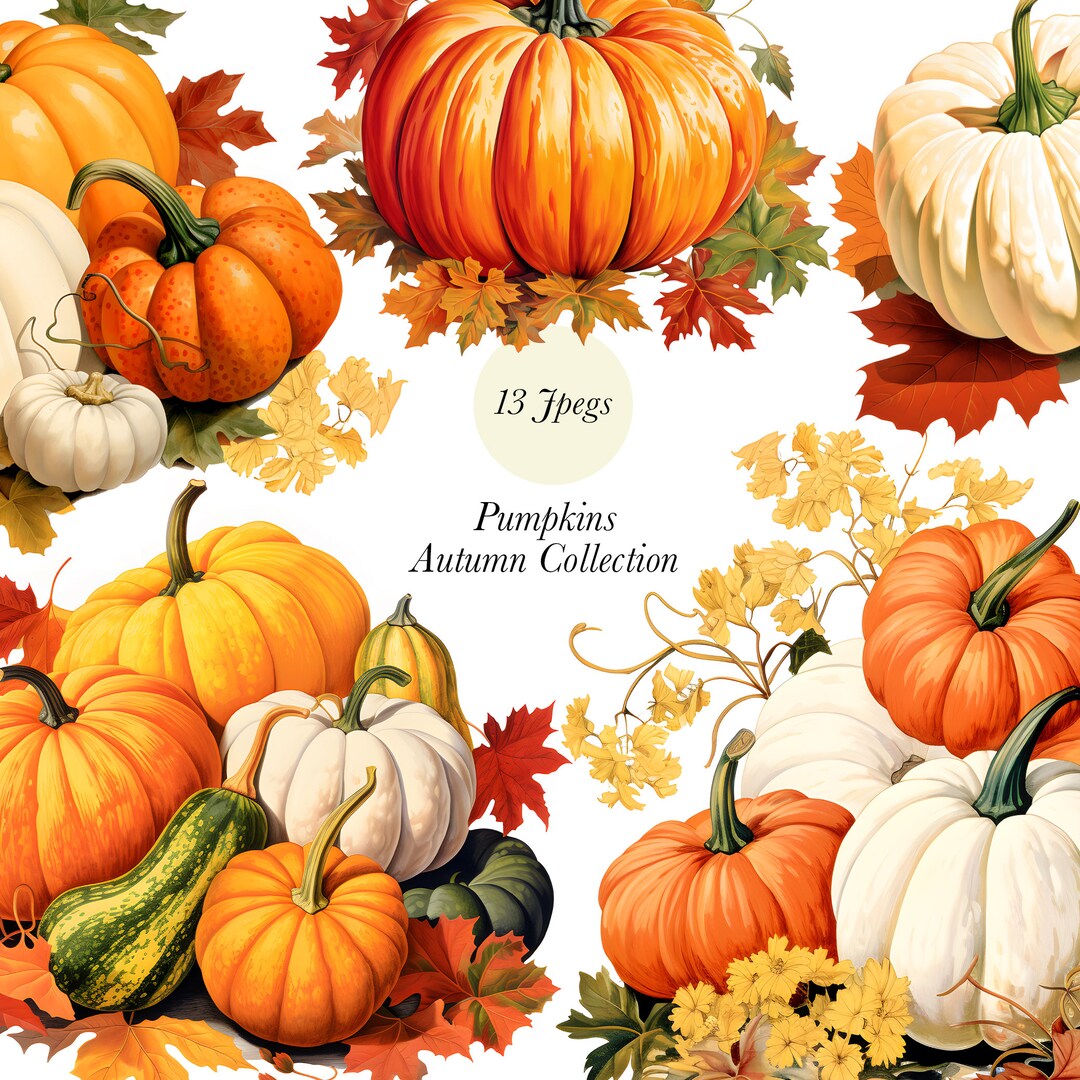 Pumpkin Autumn Collection, Pumpkin Autumn, Pumpkin Autumn Illustration ...