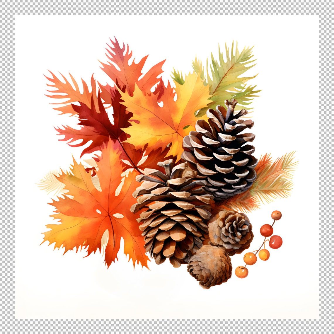 Pine Cone Autumn Clipart Collection, Pine Cones Illustration, Pine ...