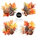 Pine Cone Autumn Clipart Collection, Pine Cones Illustration, Pine ...