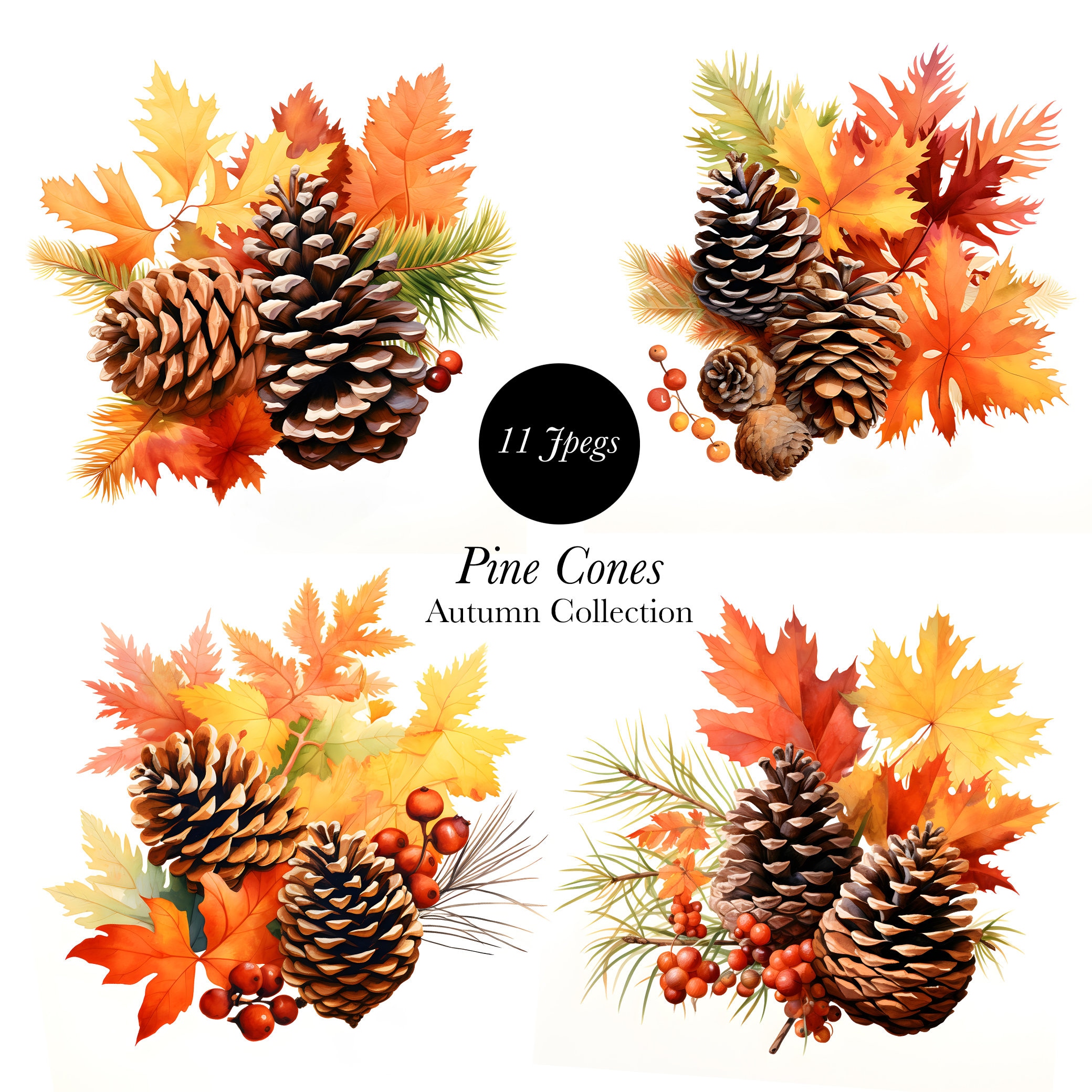 Pine Cone Autumn Clipart Collection, Pine Cones Illustration, Pine ...