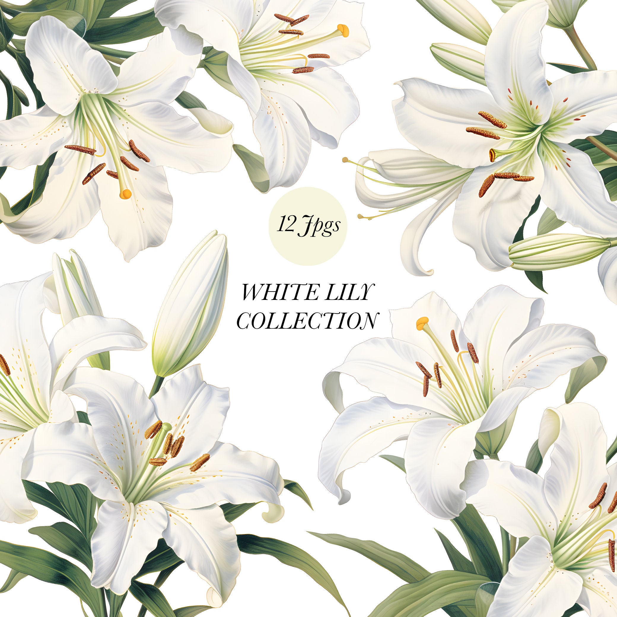 Funeral Program Clipart