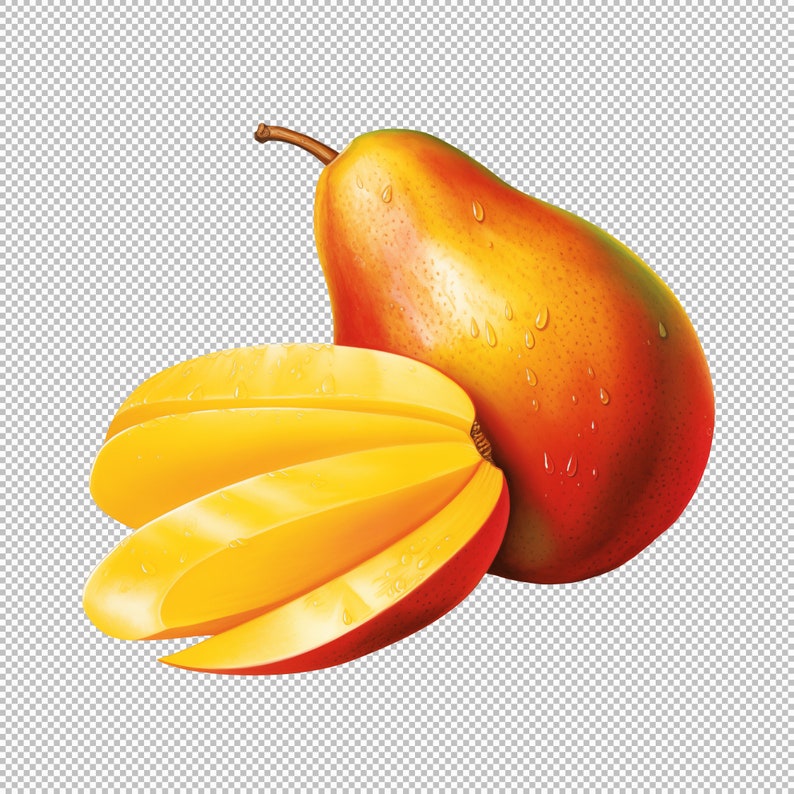 Mango Clipart Set: Tropical Fruit PNG Graphics (digital Download) - Etsy