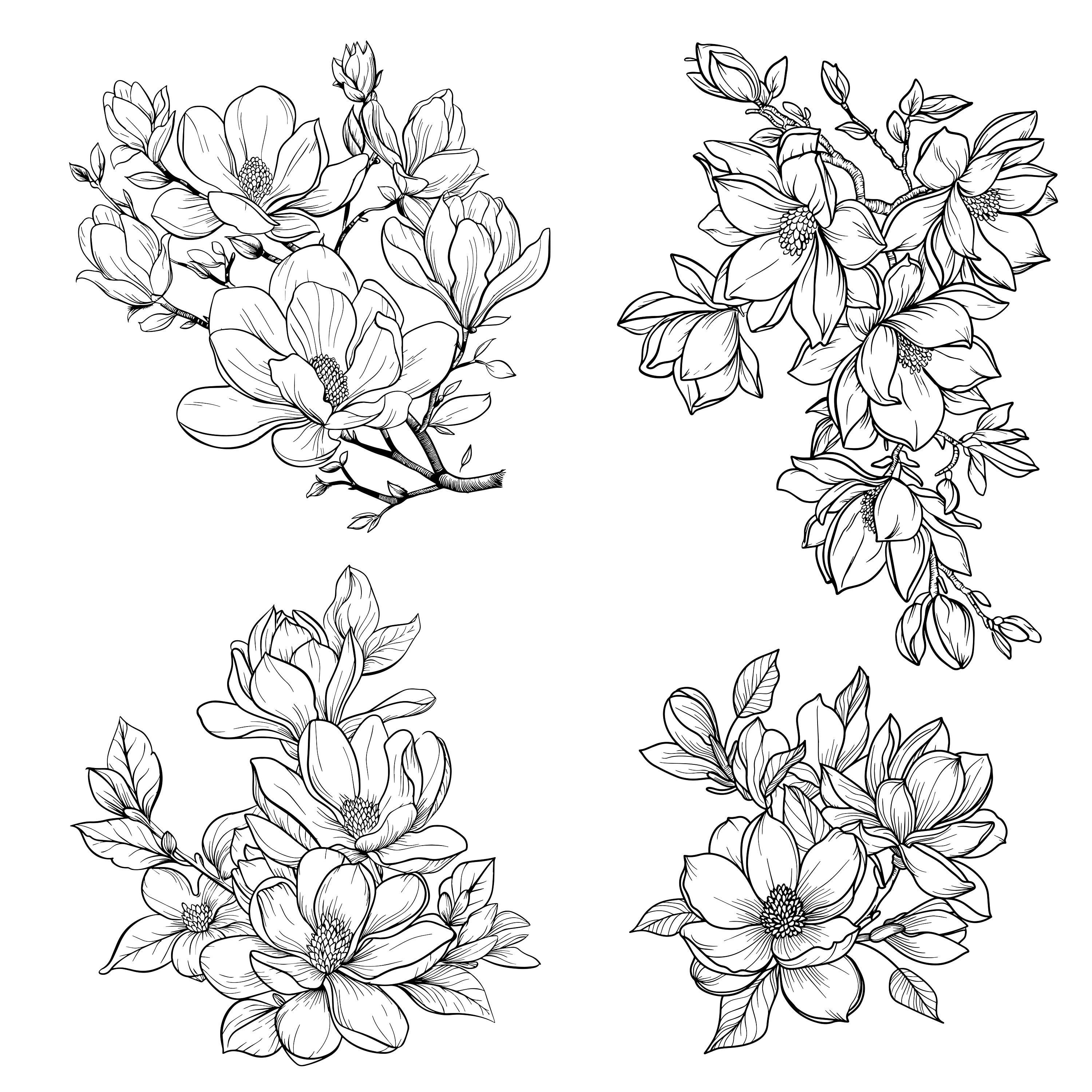 Magnolia Lineart Clipart , Magnolia SVG, Magnolia Png, Flower Svg ...