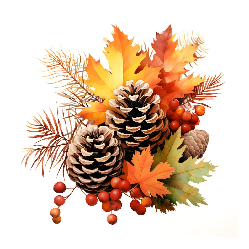 Pine Cone Autumn Clipart Collection, Pine Cones Illustration, Pine ...
