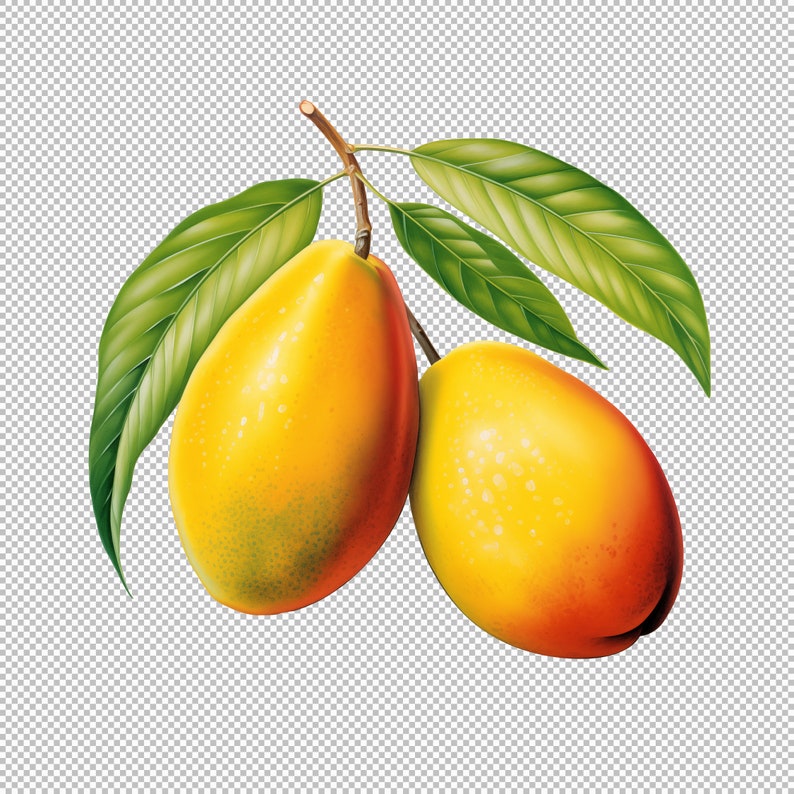 Mango Clipart Collection,mango Illustration, Mango Clipart , Mango Png ...