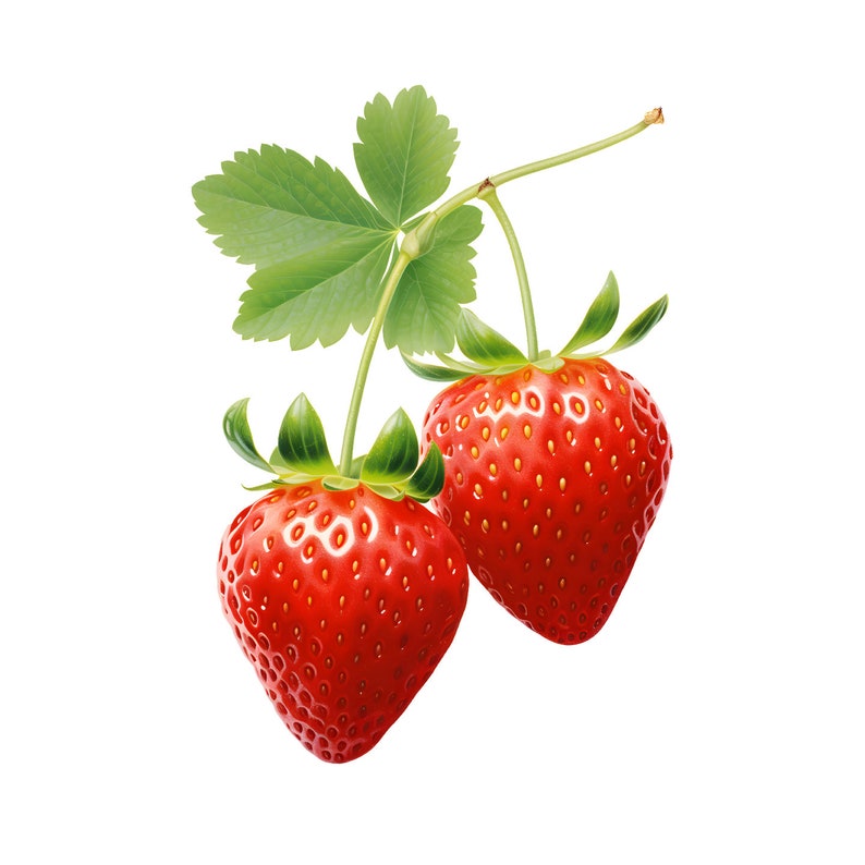 Strawberry Clipart Collection, Strawberries Illustration, Strawberry ...