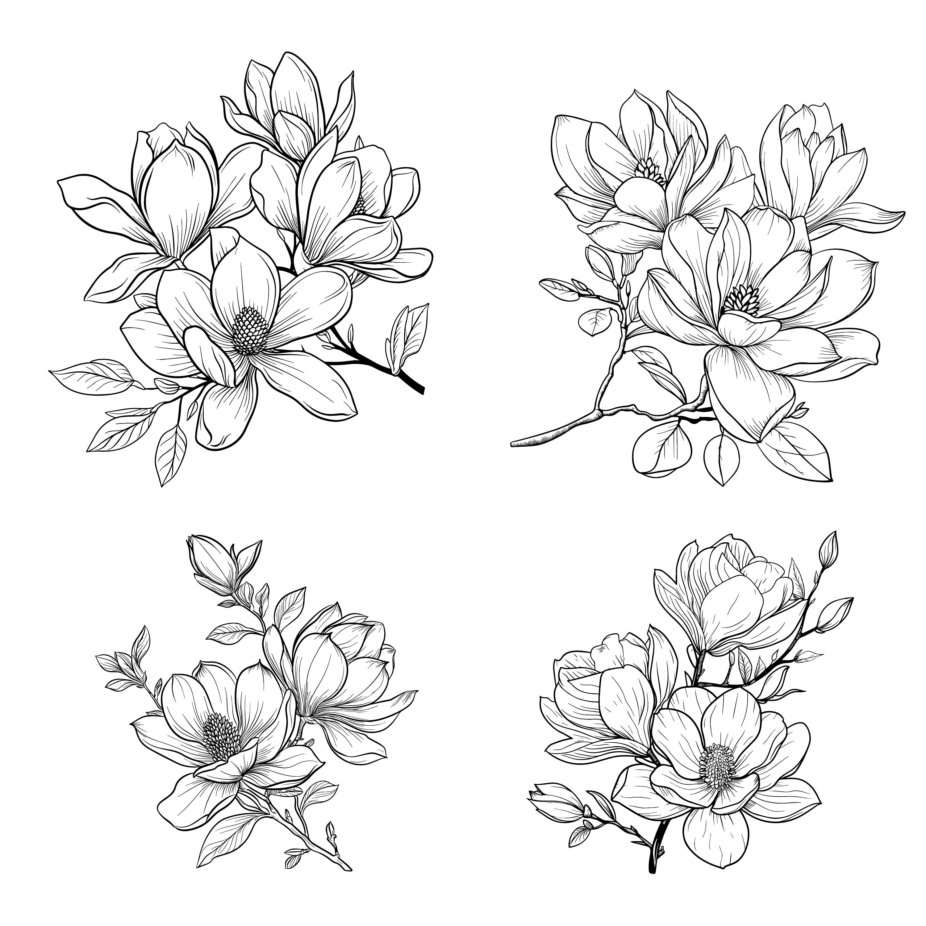 Magnolia Lineart Clipart , Magnolia SVG, Magnolia Png, Flower Svg ...