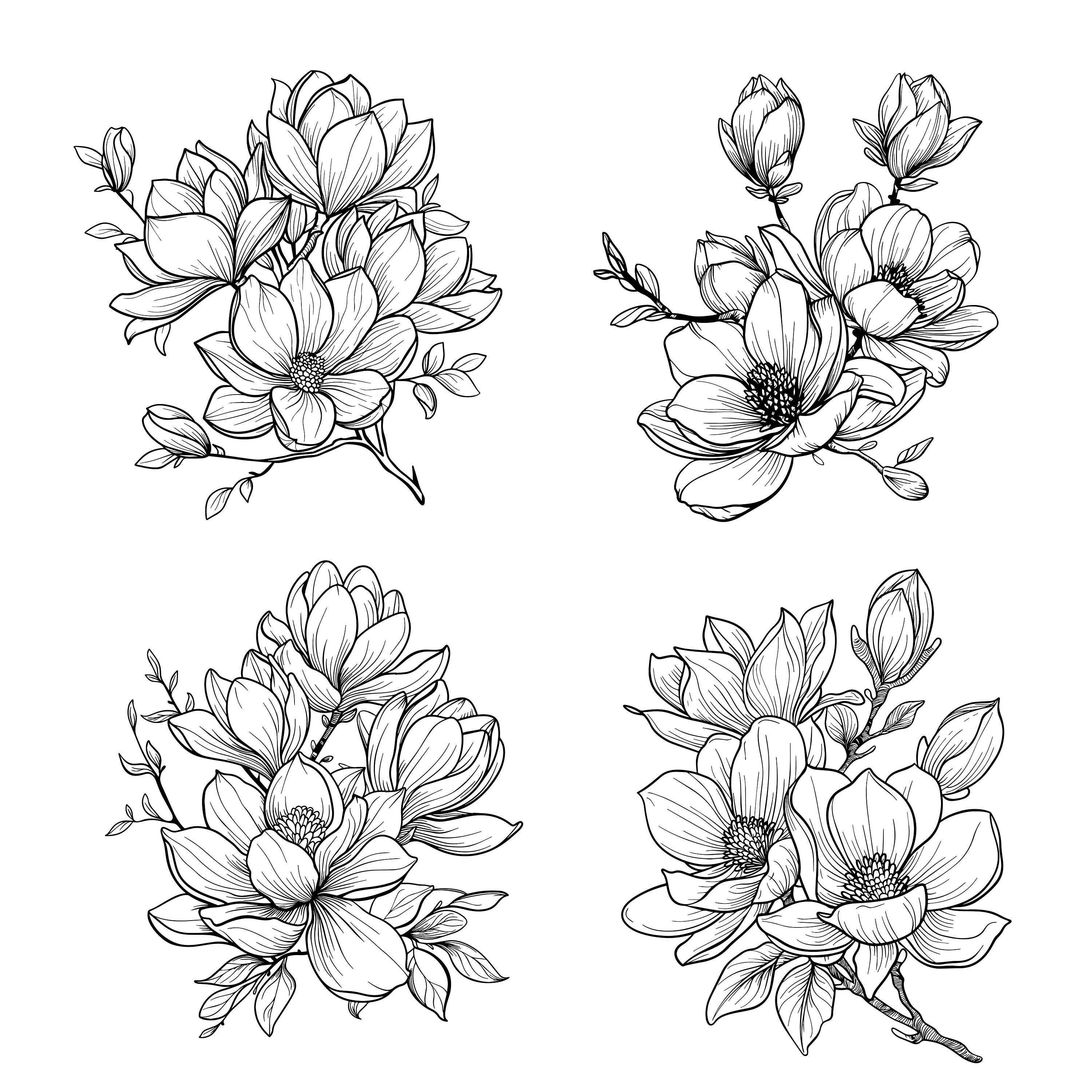 Magnolia Lineart Clipart , Magnolia SVG, Magnolia Png, Flower Svg ...