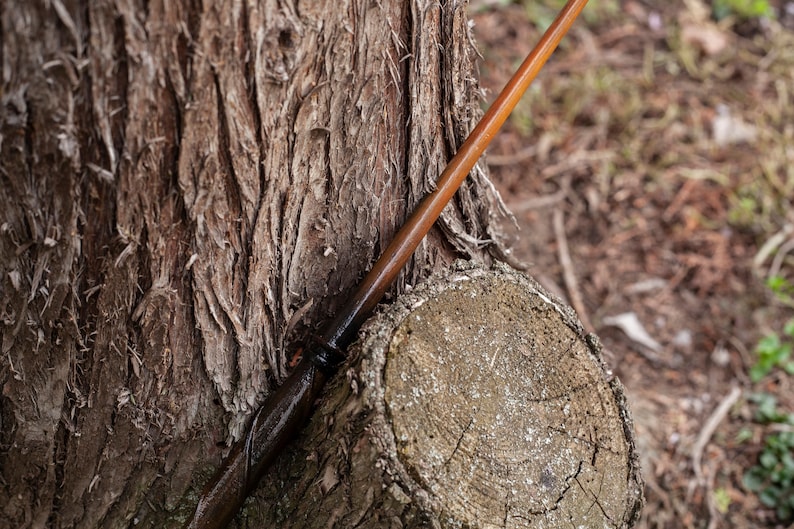 The Essence | Premium Custom Magic Wand With Display Box - Etsy