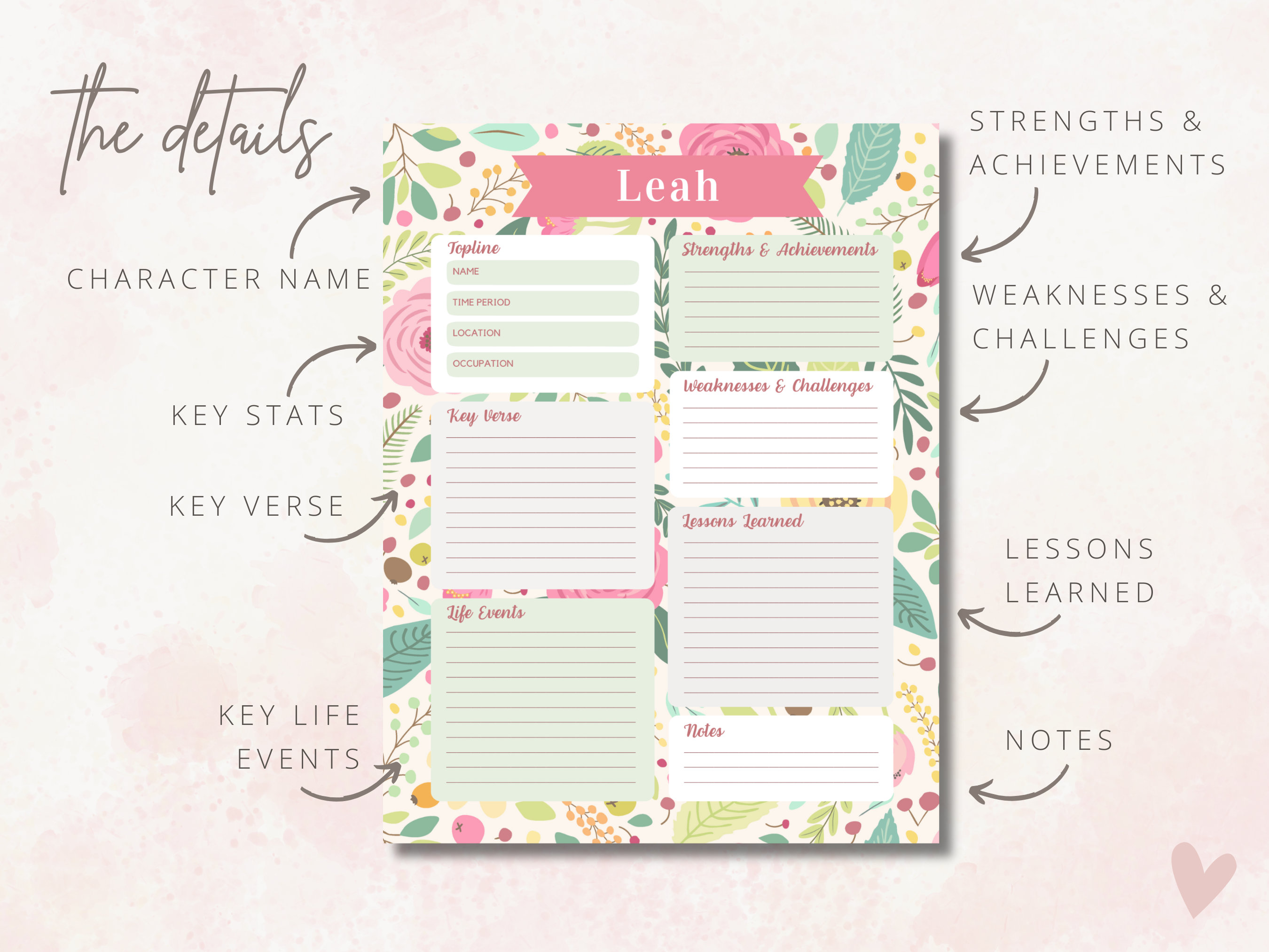 Women of the Bible Study Pack, Female Biblical Character Study ...