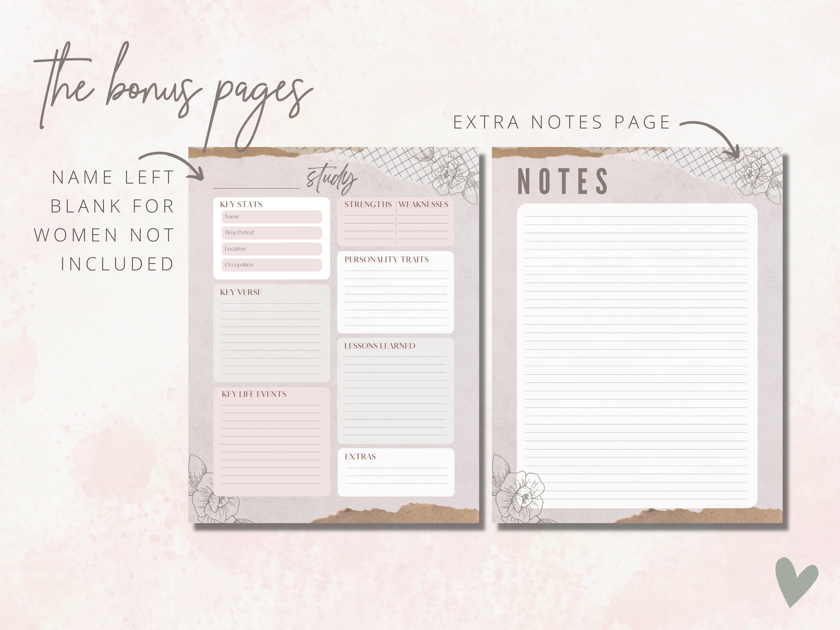 Women of the Bible Study Pack, Female Biblical Character Study ...