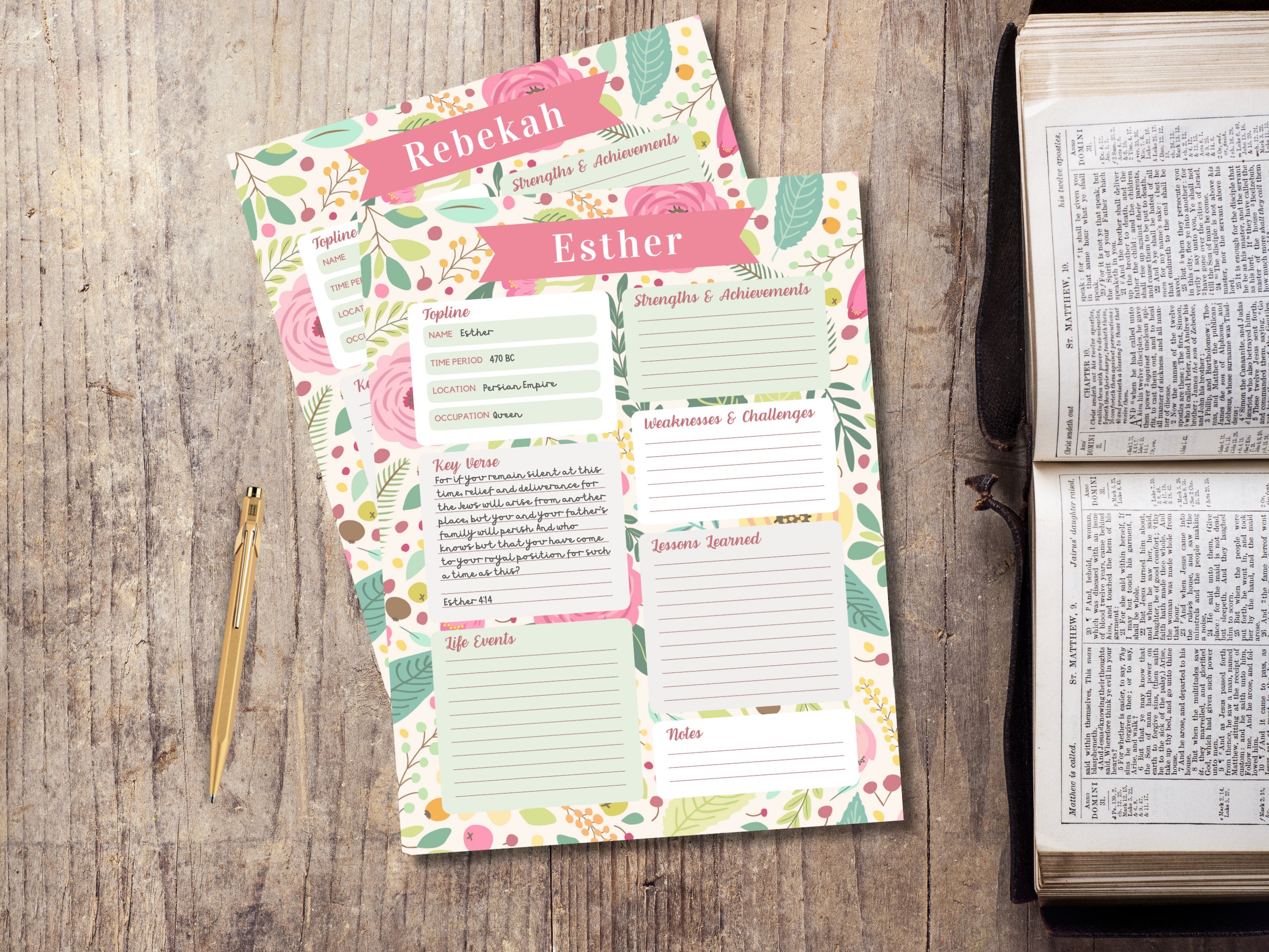 Women of the Bible Study Pack, Female Biblical Character Study ...