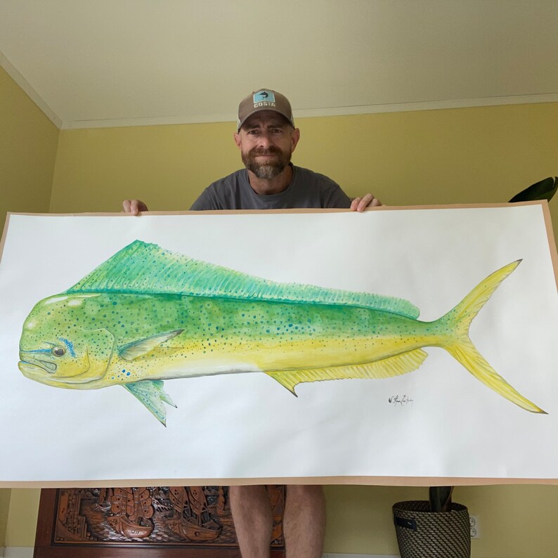 Watercolor Mahi Mahi, Colorful Fish, Dorado, Dolphin Fish - Etsy