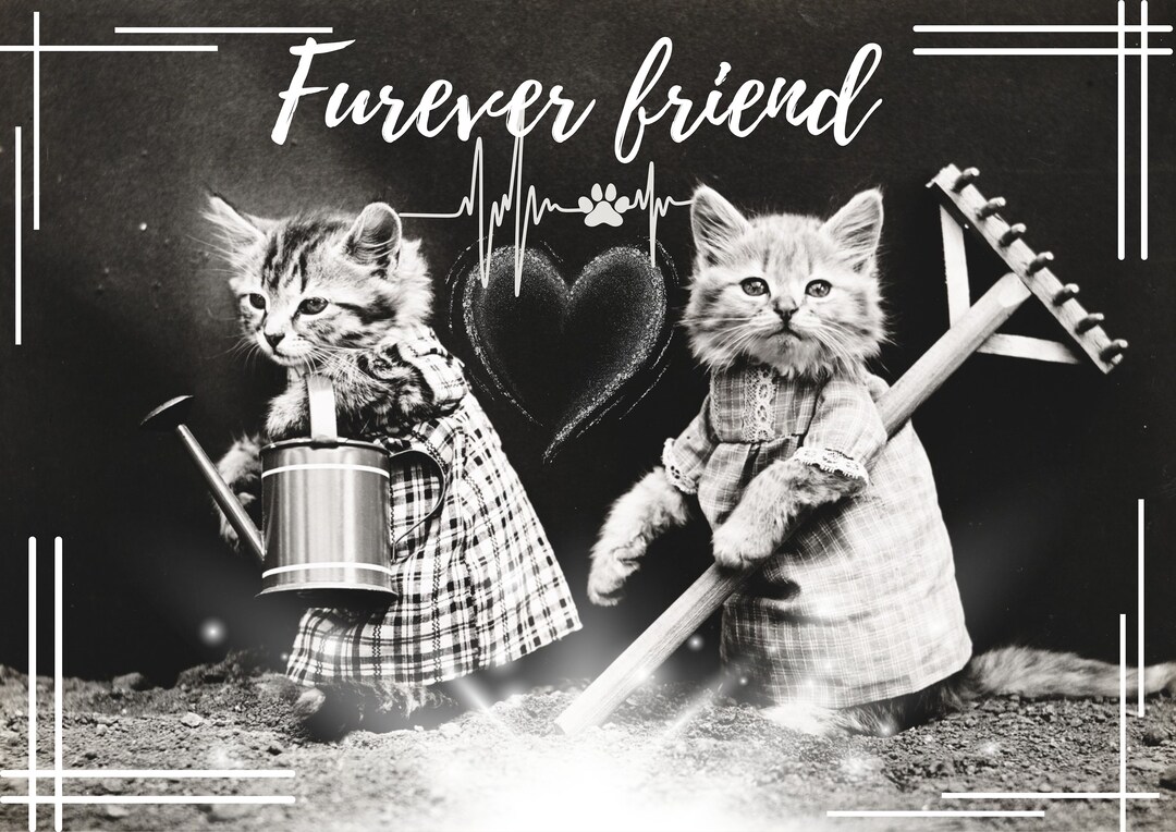 Forever Friends Cute Kittens Poster - Etsy