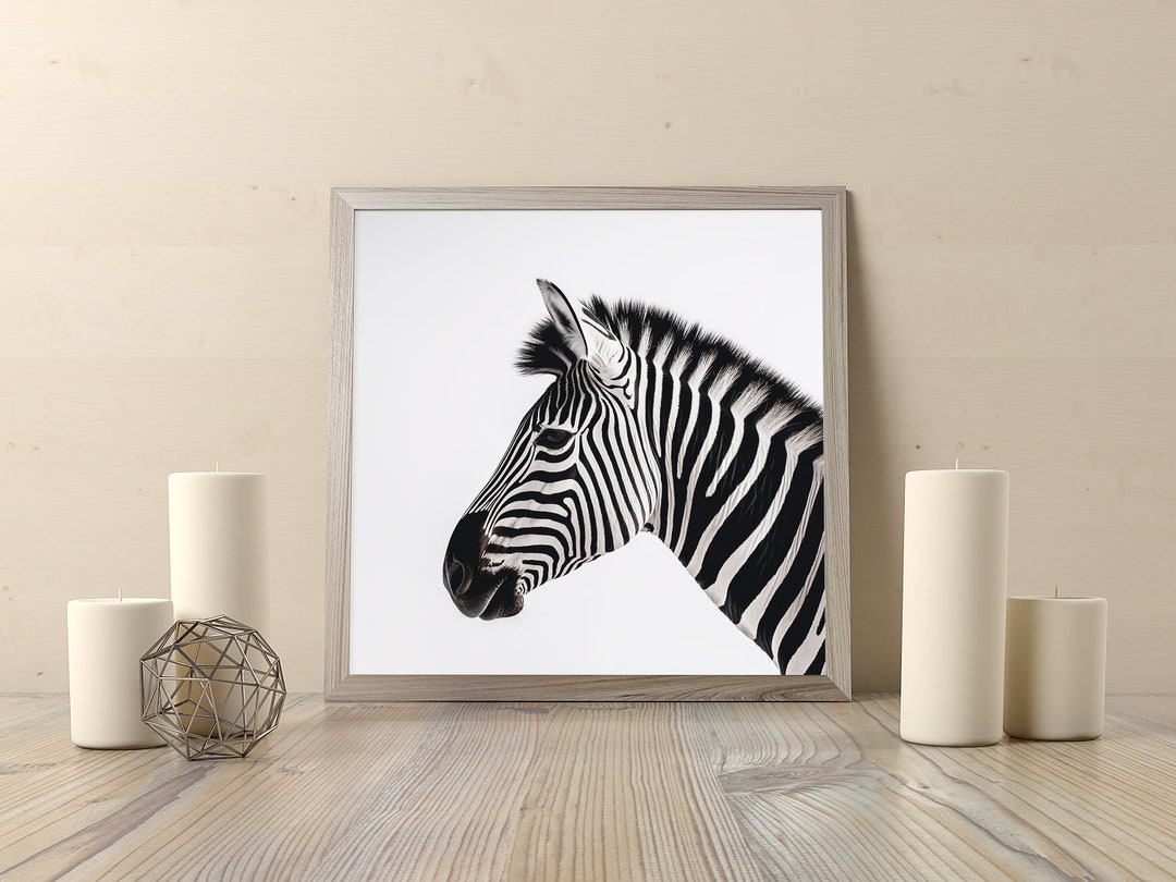 Zebra Design Black and White to Print Wild Horse Zebra Minimalist White ...
