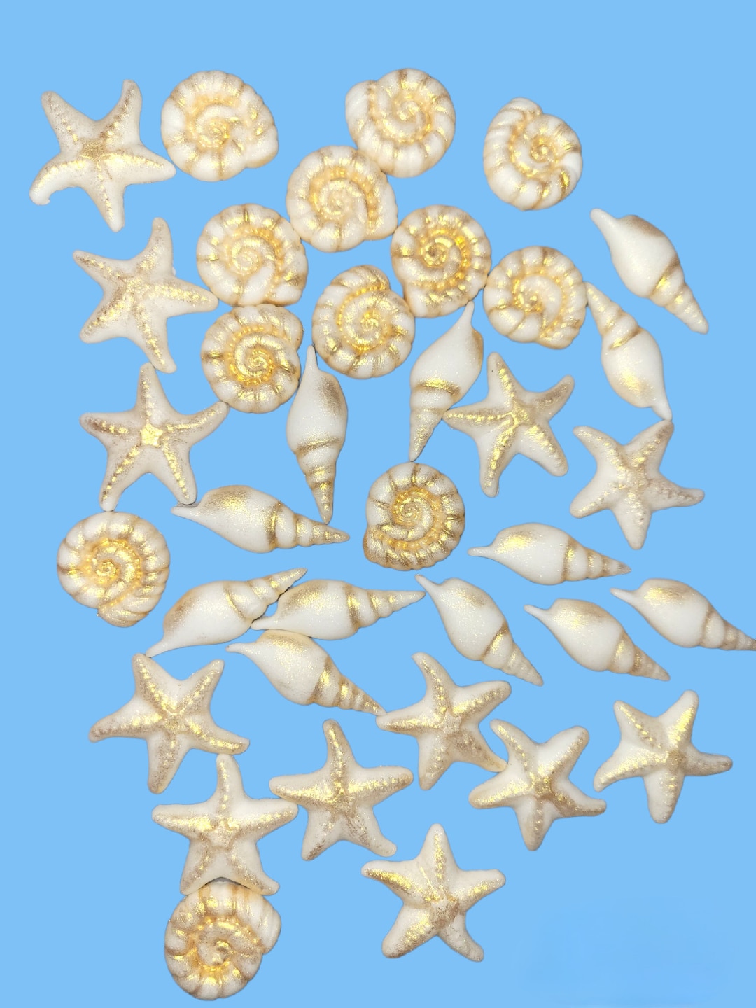 12 Fondant Seashells Cake Cupcake Toppers Wedding Sugar Summer - Etsy