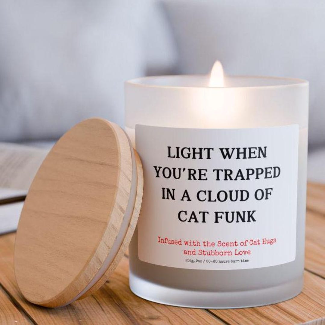 Light Me When the Cat Candle, Cat Owner Candle Gift for Cat Moms ...