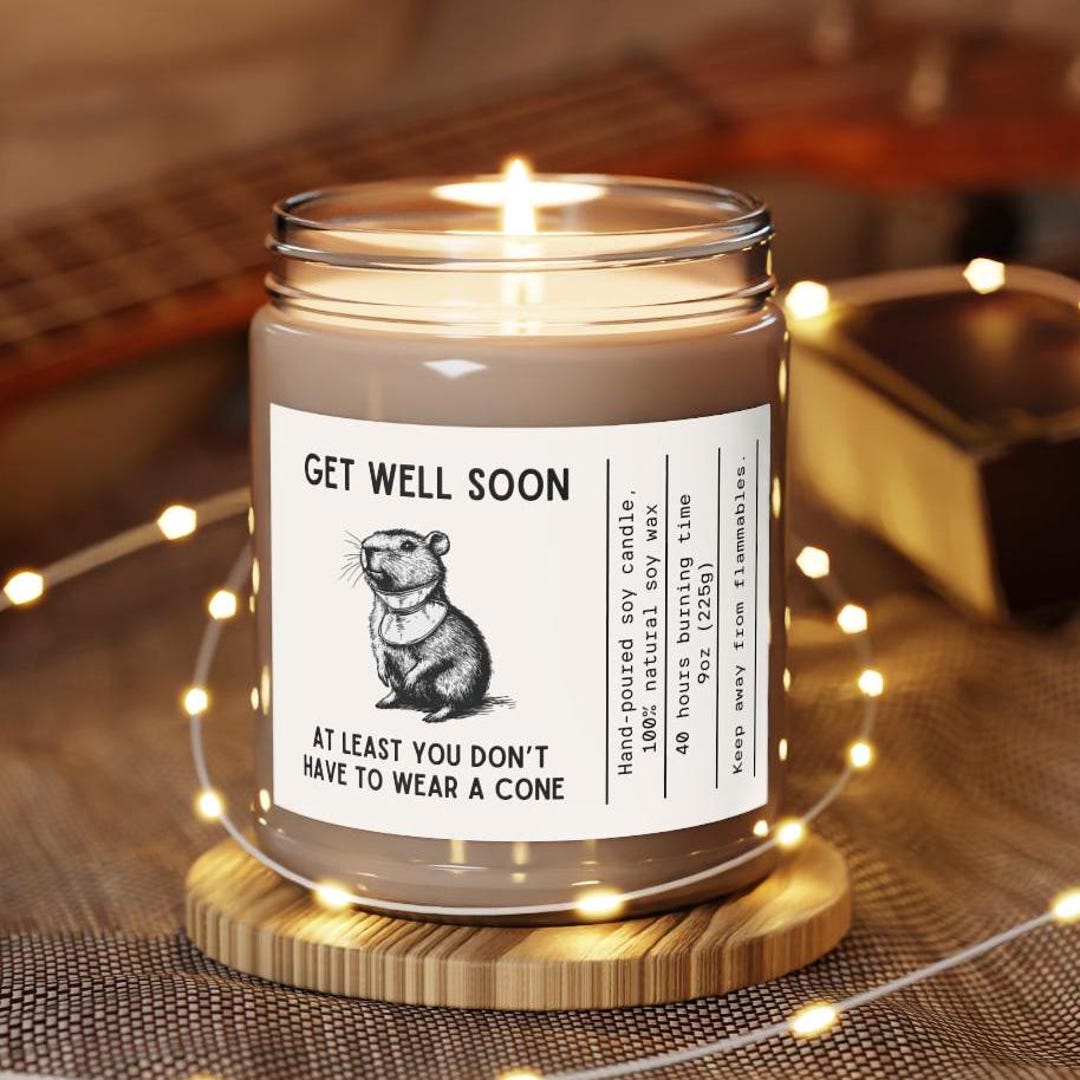 Funny After Surgery Gift, Capybara Candle, Post Surgery Care Cheer up ...