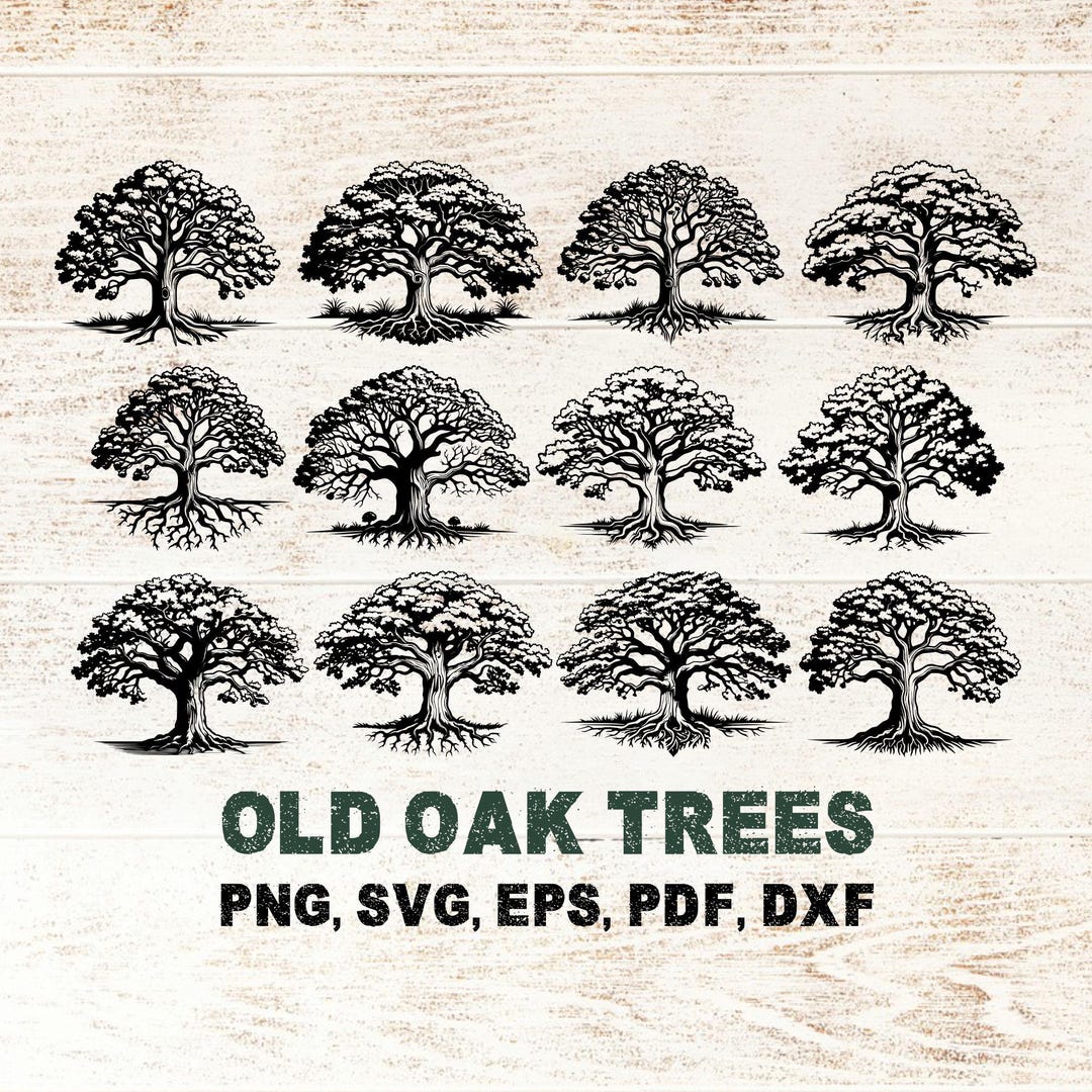 Old Oak Tree Roots SVG Bundle, 12 Outline Cut File Cricut, Nature Craft ...