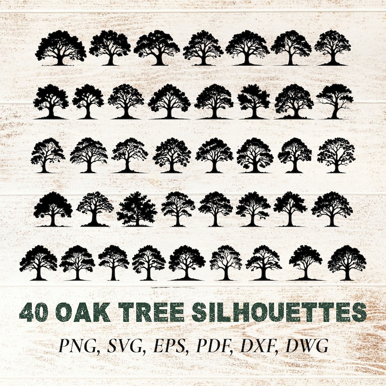 40 Oak Tree SVG Bundle, Woodland Forest Collection of Oak Silhouette ...