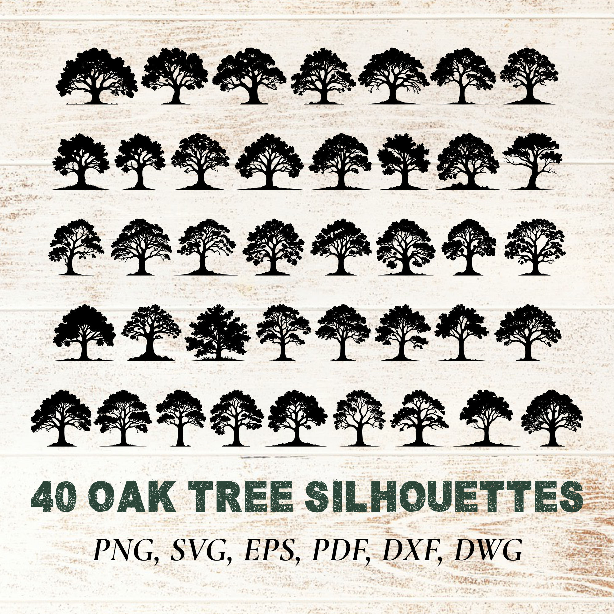 40 Oak Tree SVG Bundle, Woodland Forest Collection of Oak Silhouette ...